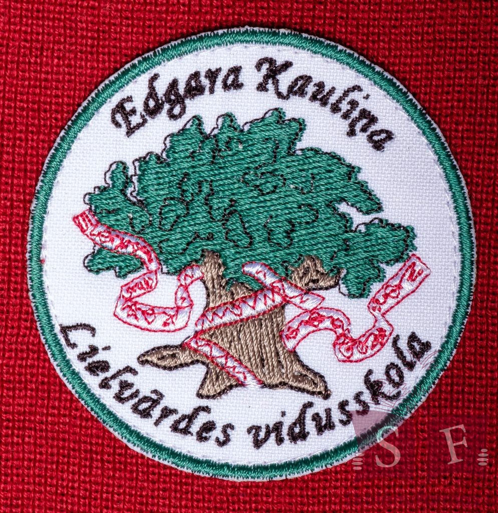 Edgara Kauliņa Lielvārdes vidusskola - Ameri